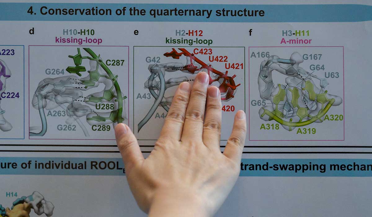 RNA Therapeutics Hybrid Conference